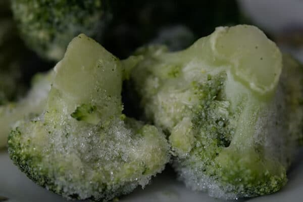 Why Your Freezer Is Leaking Water: 6 Steps To Stop A Leak