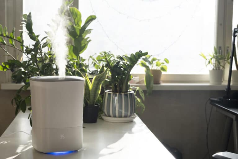 How to Fix A Humidifier That's Freezing Up: 6 Steps