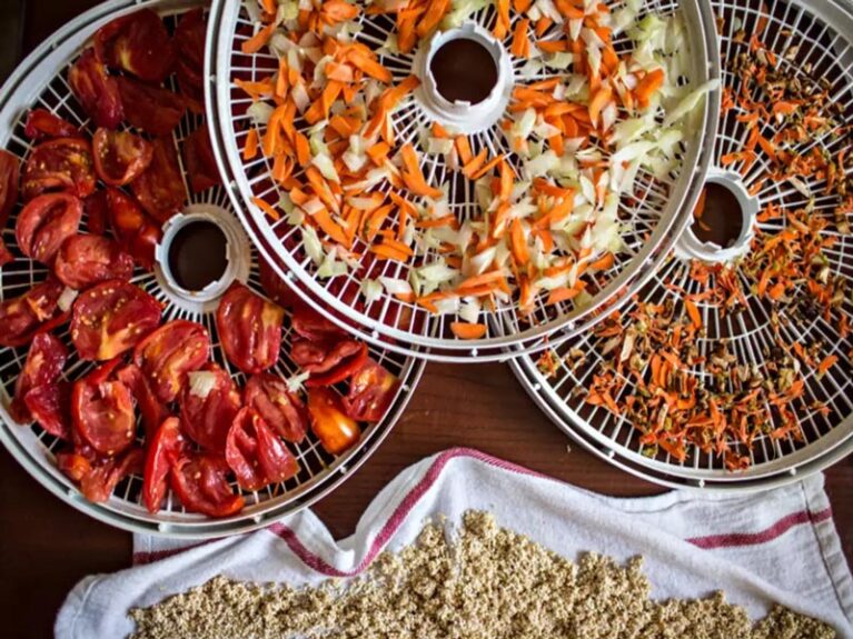 Dehydrator Not Working? Here's 8 Known Issues & Fixes