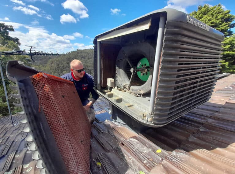 Swamp Cooler Smelling Bad? How To Prevent 5 Smells