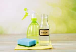 Cleaning A Moldy / Musty Fridge In 5 Easy Steps