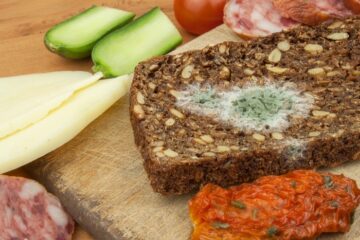 Cleaning A Moldy / Musty Fridge In 5 Easy Steps