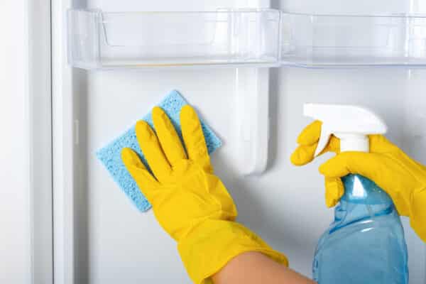 Mold In A Freezer: How To Clean AND Prevent (5 Steps)